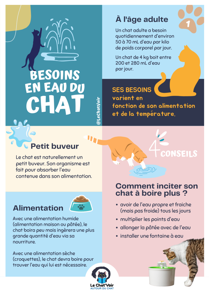 Fiches informatives - Le Chat Voir